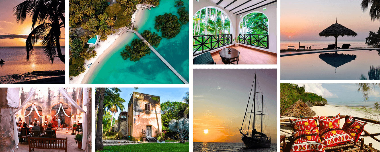 Contact Us • Mbweni Ruins & Gardens